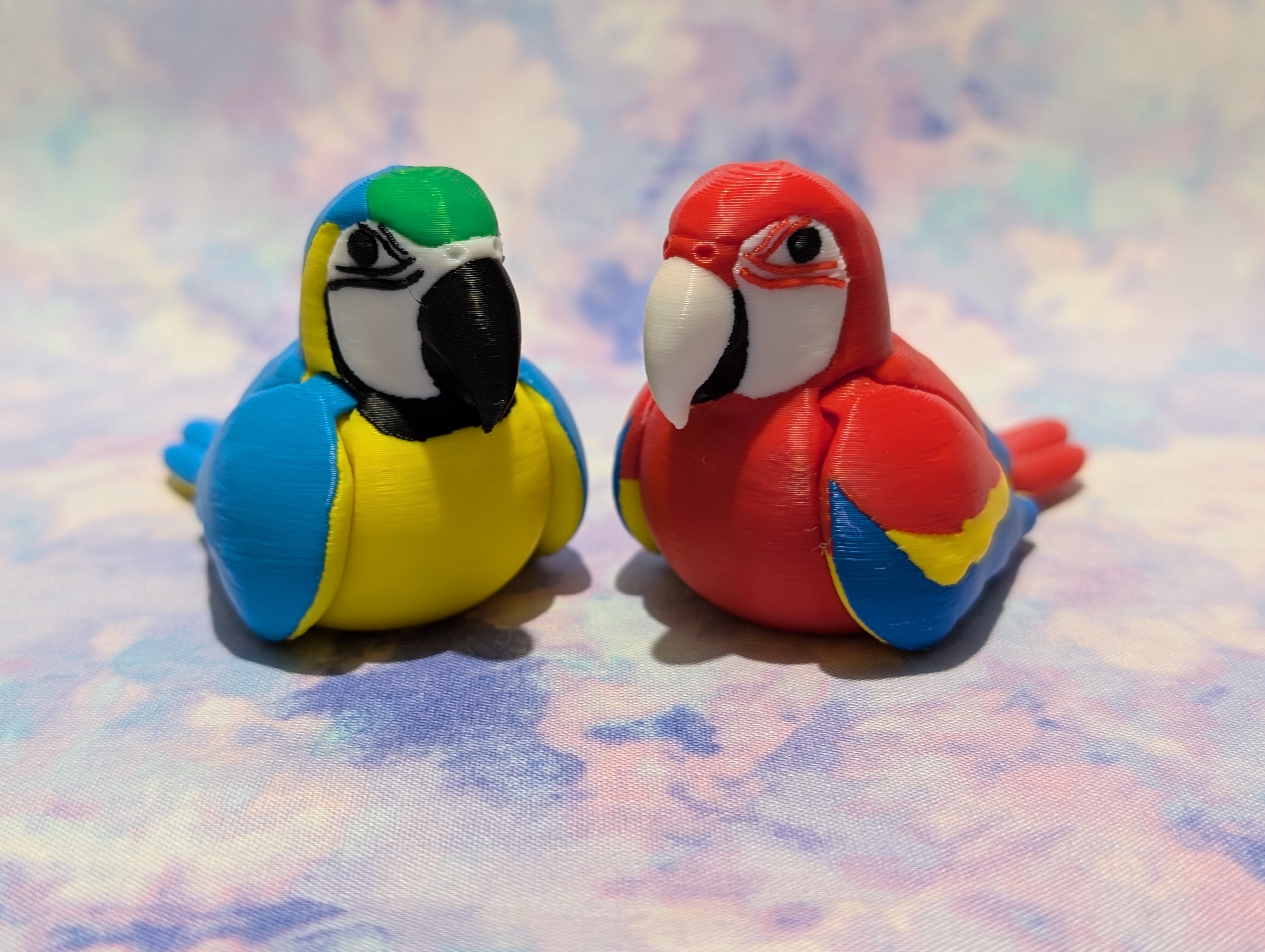 Macaw – Cake-Bit Studio Shop