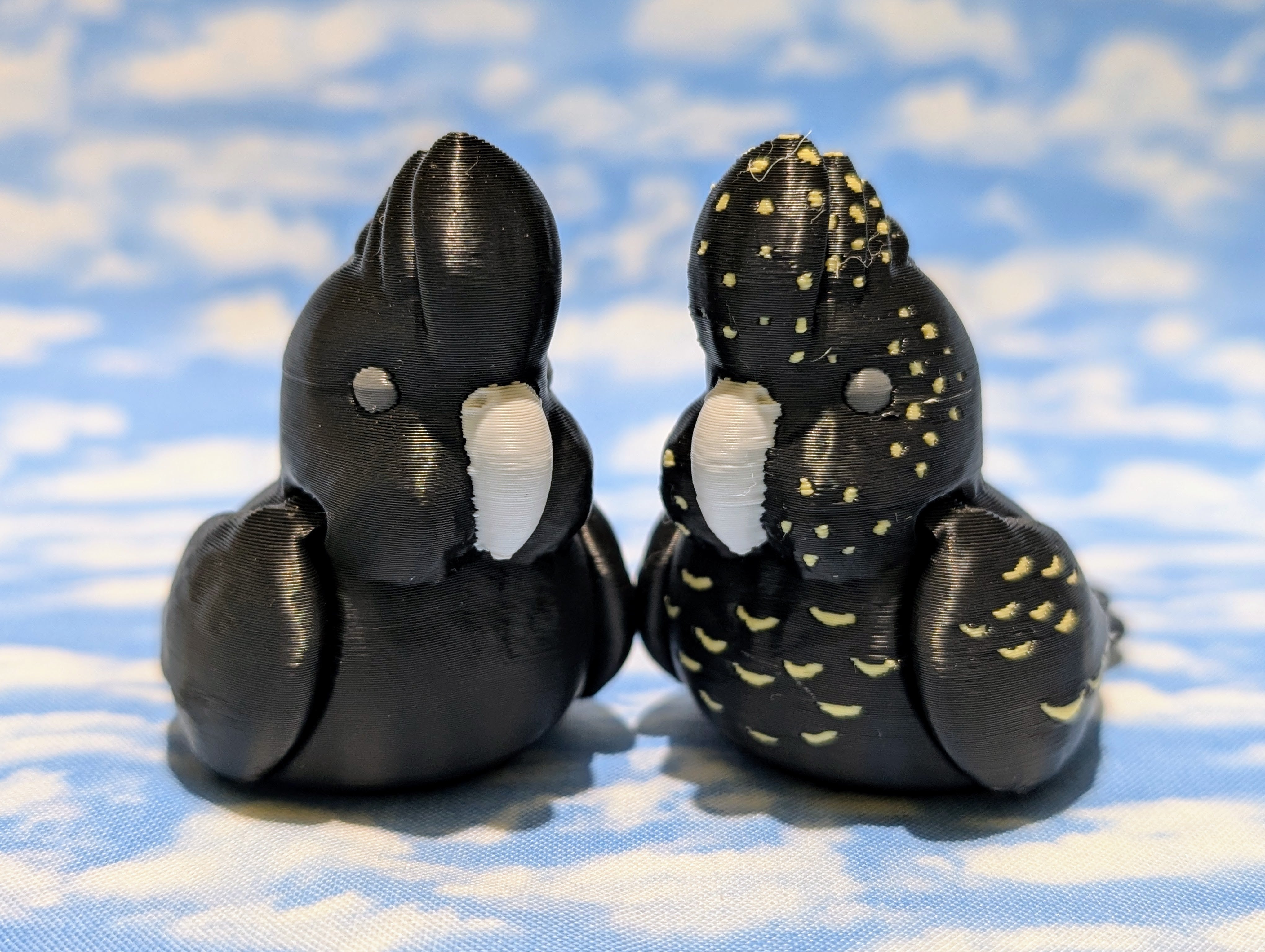 Red Tailed Black Cockatoo – Cake-Bit Studio Shop